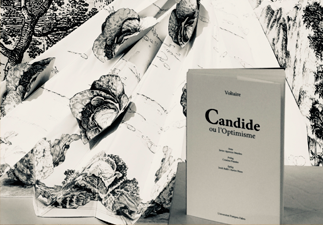 Maria del Pozo Illustrator